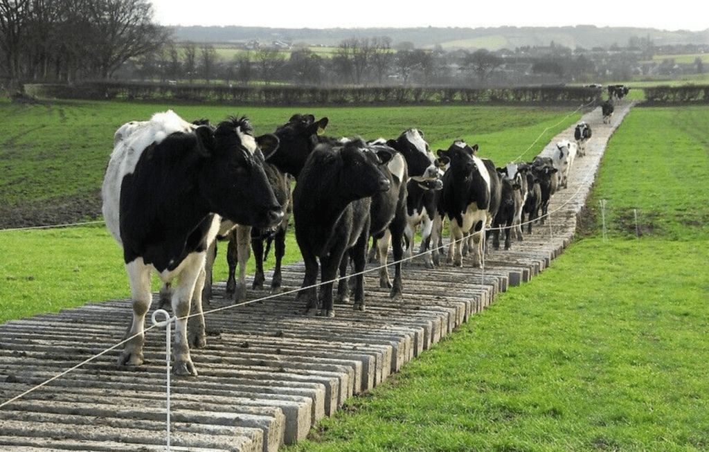 F -Type Concrete Railway Sleepers - KJ Bownes